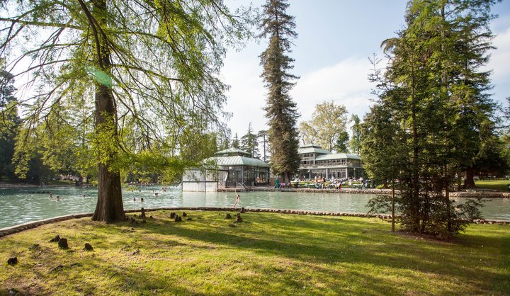 Biglietti parco termale del garda- villa dei cedri su NowTicket.it